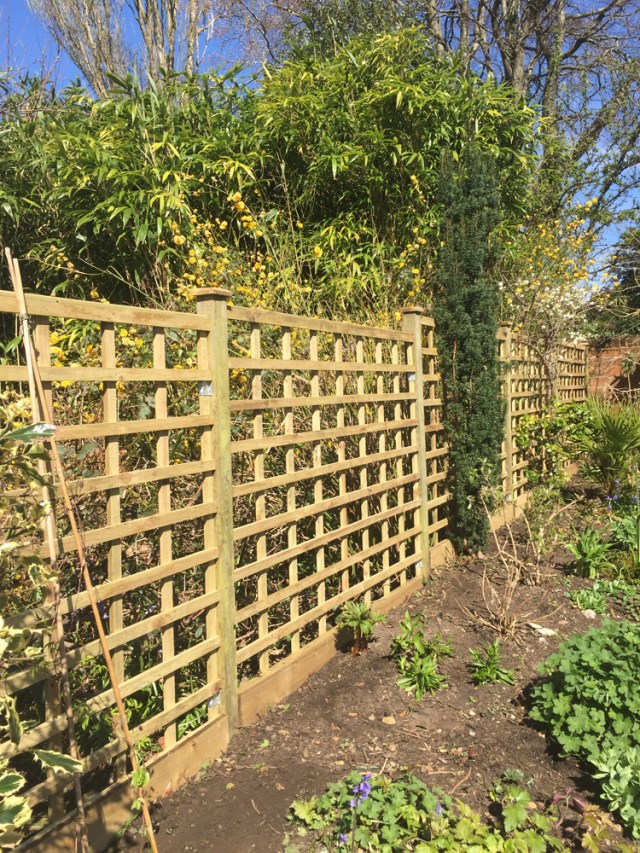 Fencing trellis | Southampton painting
